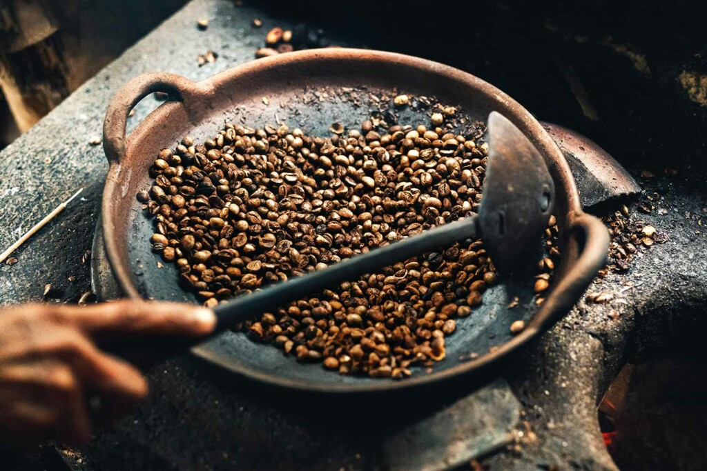 Kopi Luwak: Busting the Civet Cat Coffee Myth
