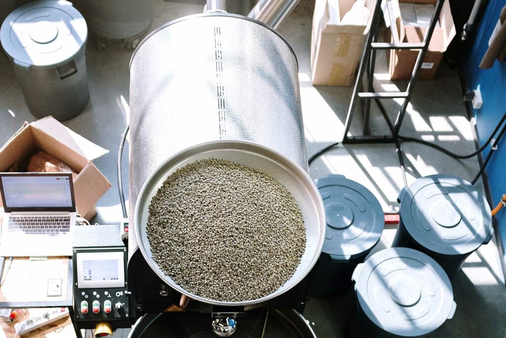 How to Choose Coffee Beans: Expert Guide for Home Brewing 2025