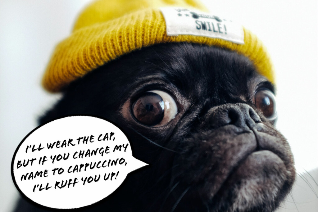 101 Coffee Names for Dogs: Which One Will You Pick?