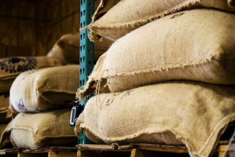 Coffee Processing 101: A Beginner's Guide