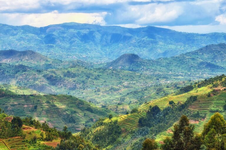 Rwanda Coffee: Exotic and Enchanting!