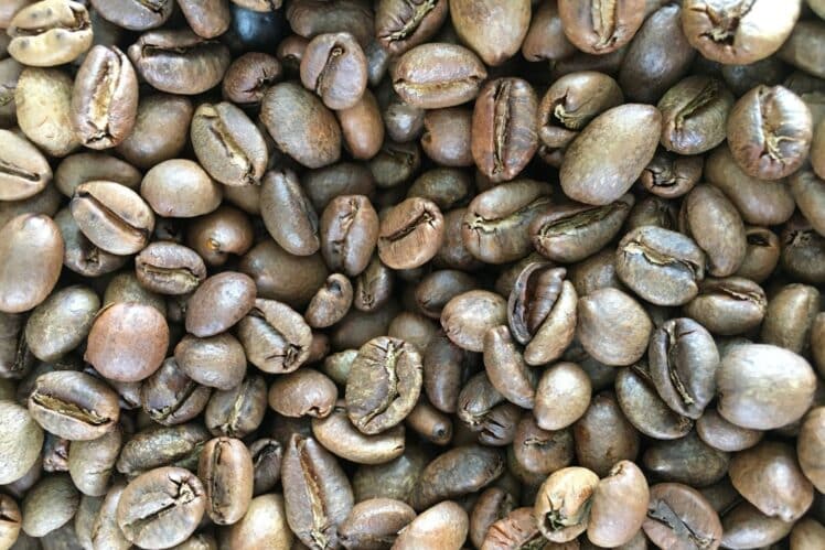 What Is Excelsa Coffee? Everything You Need to Know